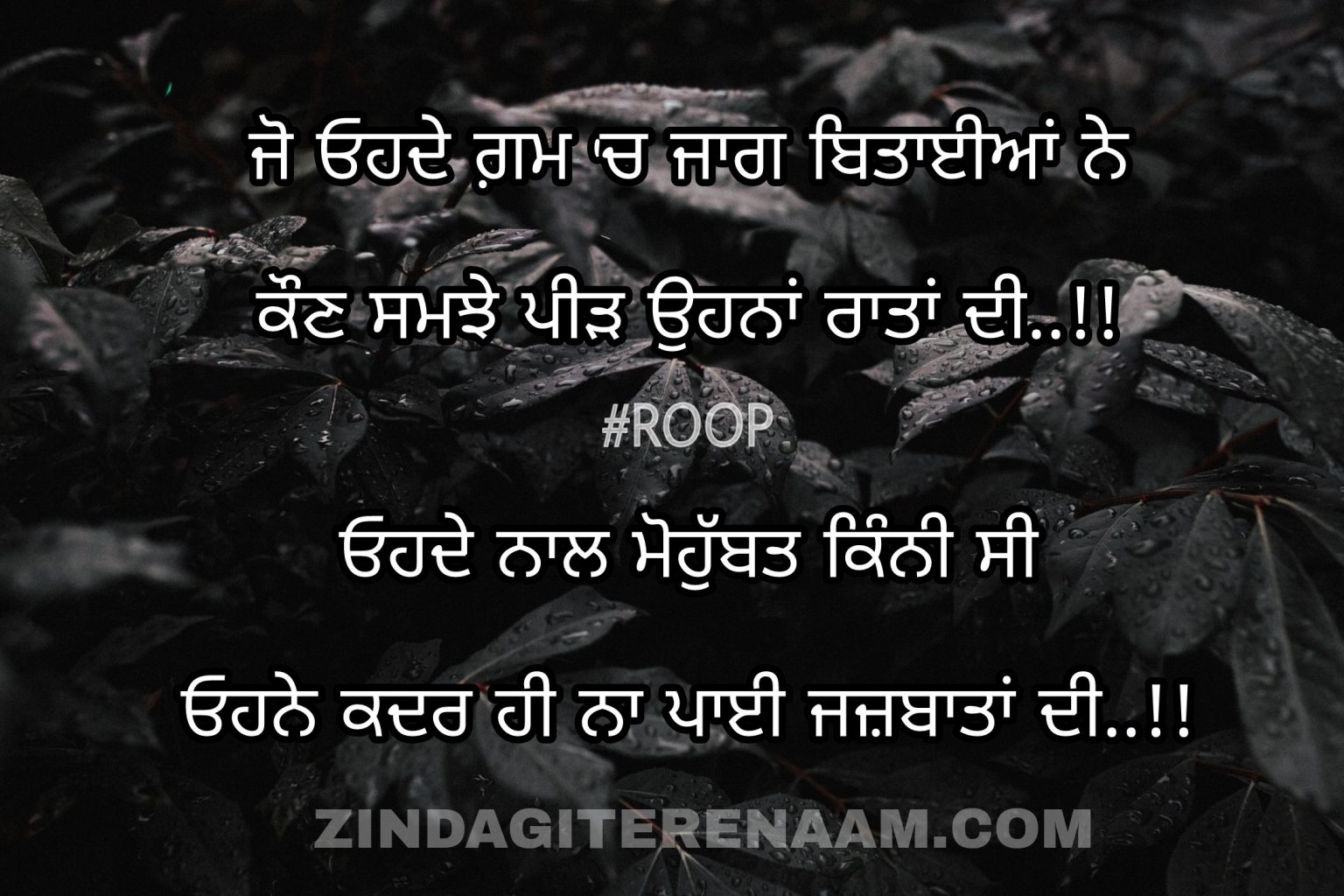 Rabb vi muskuraunda howe || true love shayari || Punjabi poetry ...