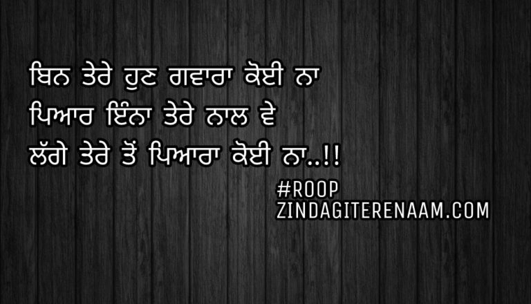 Tere ton pyara koi na || true love shayari || love you - Zindagi Tere Naam